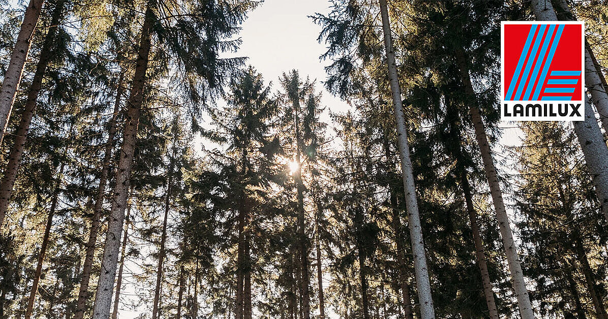 Nachhaltigkeit bei LAMILUX | LAMILUX